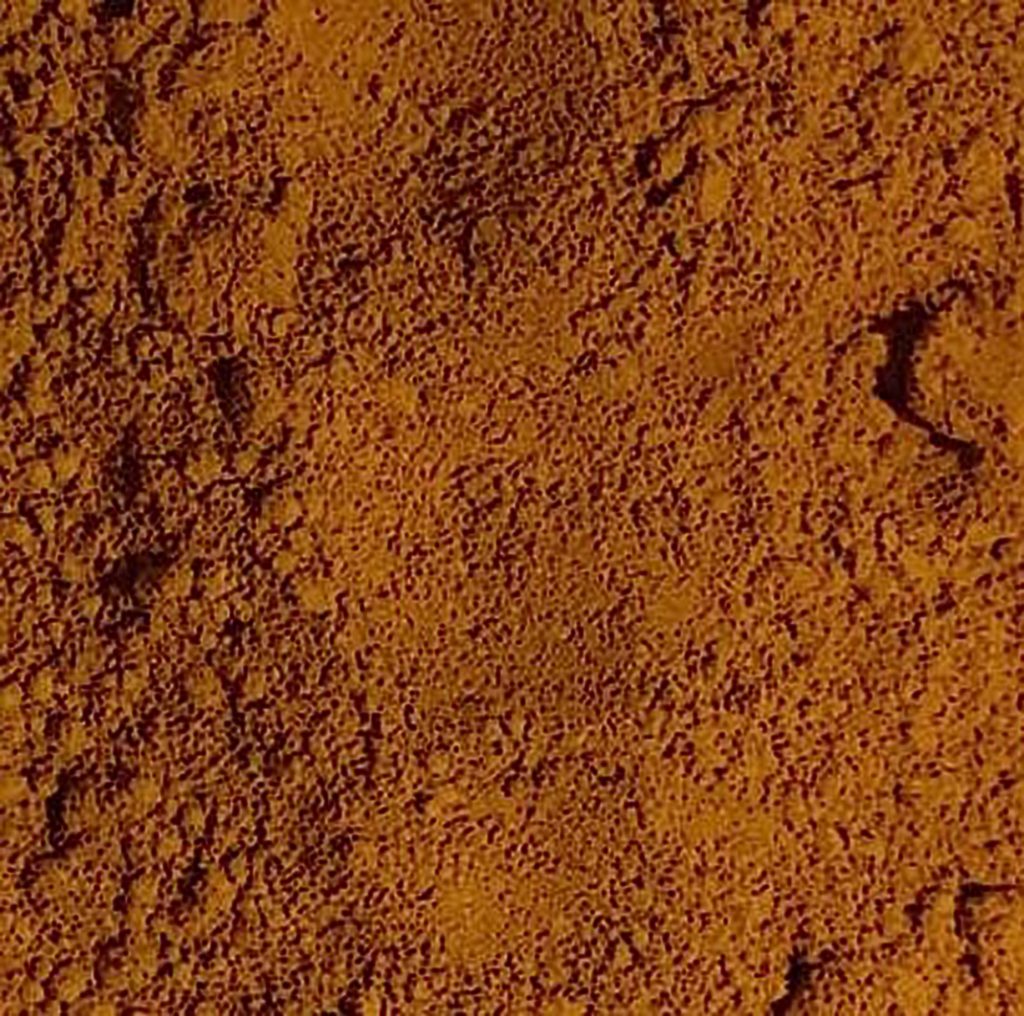 Woodpol Wood Stains Powder Raw Siena (64-2) - Manosol